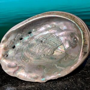 Vintage | Art | Extralarge Natural Abalone Shell 95 Iridescent Nacre ...